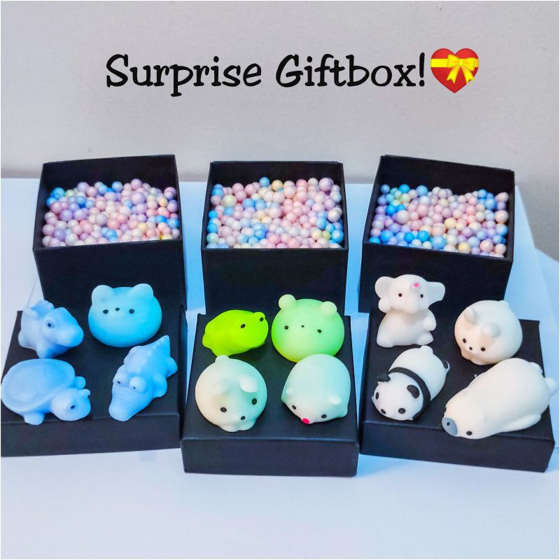 Squishy Surprise Foam Box set Gifts | Shopee Philippines