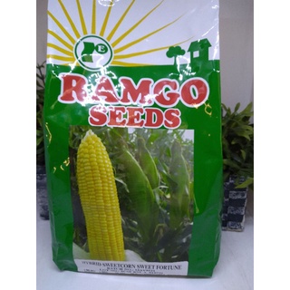 Ramgo Seeds Hybrid Sweetcorn Sweet Fortune 1kilo | Shopee Philippines