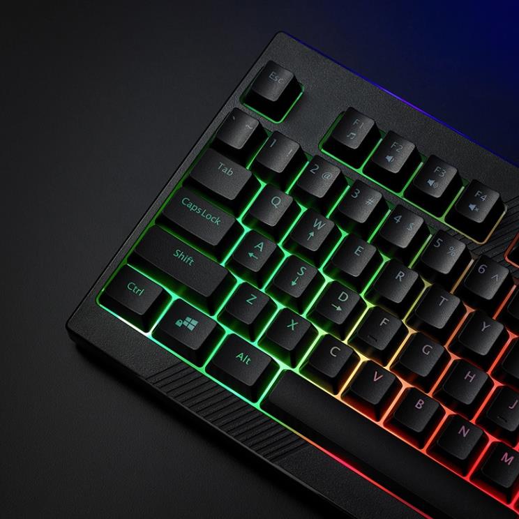 Rapoo V50S Backlit Gaming Keyboard with light Wired keyboard for laptop ...