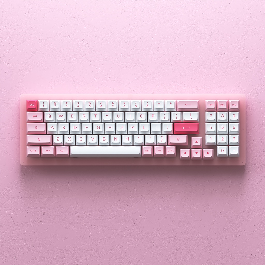 Akko ACR 98 Mini Acrylic Keyboard Bundle with Hot-swappable Socket, RGB ...