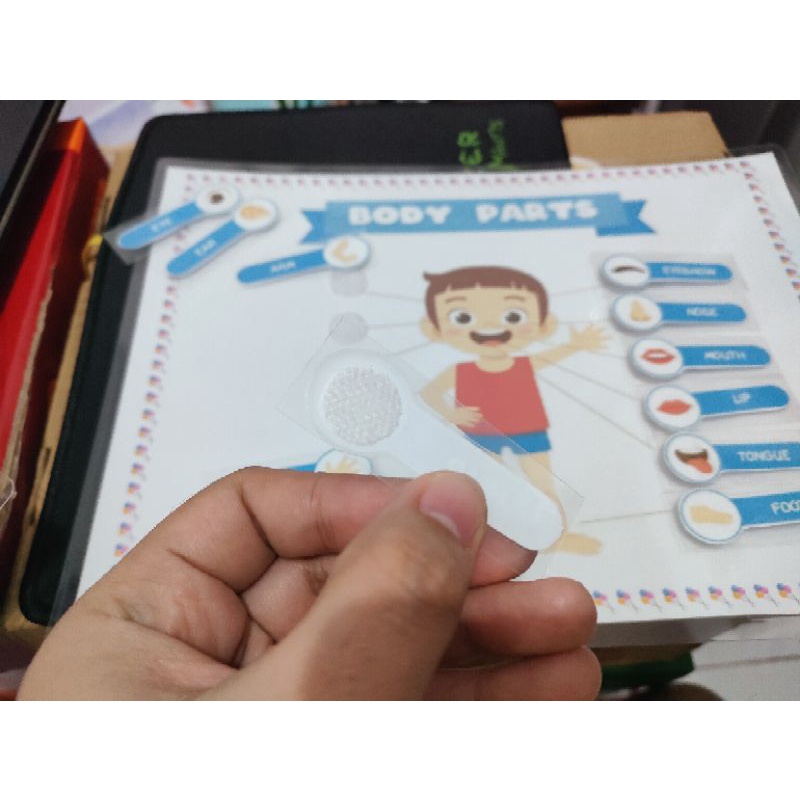 Parts of the Body Chart (Velcro Chart) | Shopee Philippines