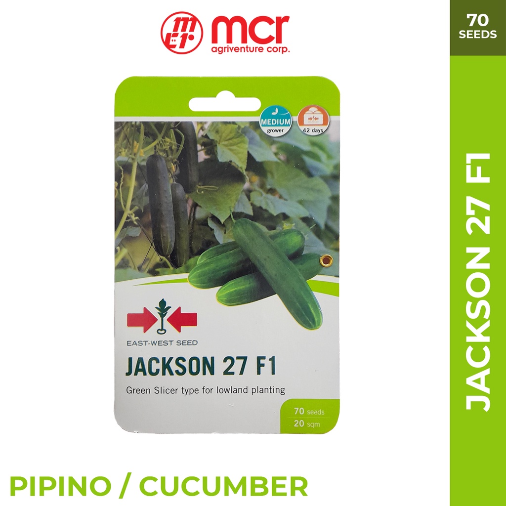 East West JACKSON 27 F1 (Pipino/Cucumber) | Shopee Philippines