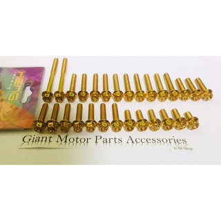 Raider 150 fi Heng crankcase bolts set gold (28pcs) | Shopee Philippines