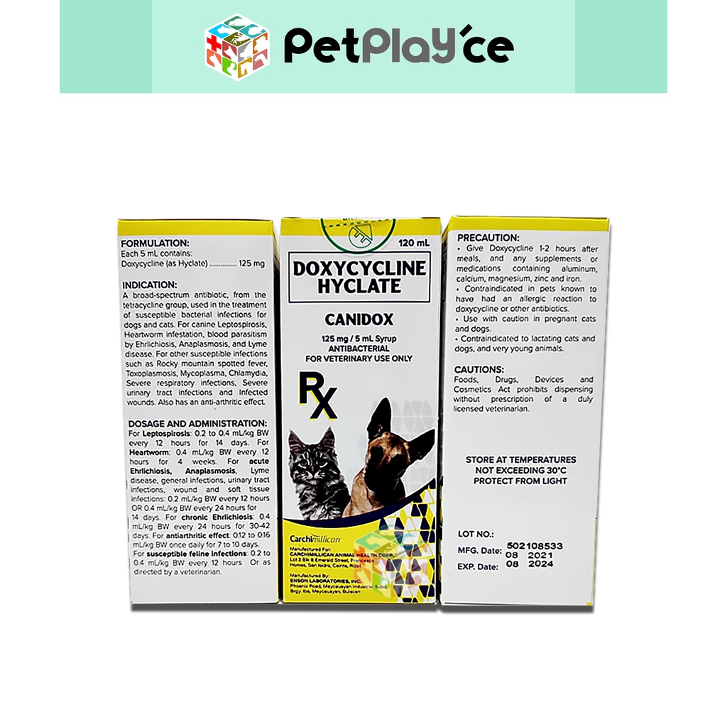 Can Dogs Take Doxycycline For Infection