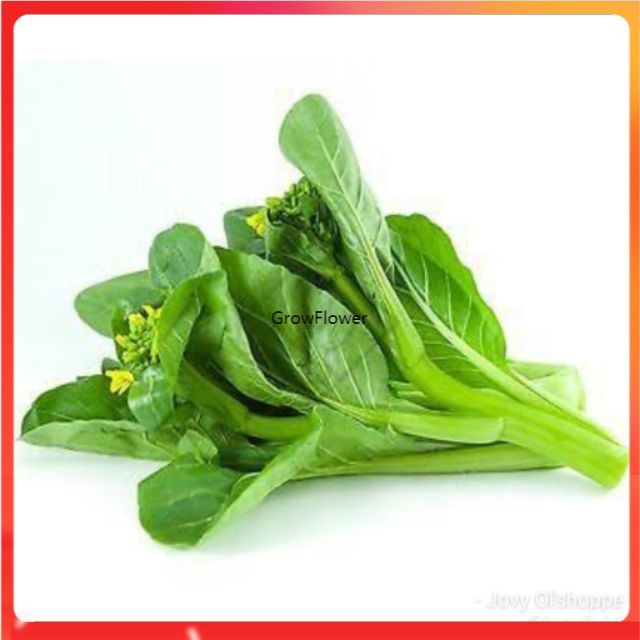 Chaism Flowering Pechay Seeds - Vegetable 20pcs | Shopee Philippines