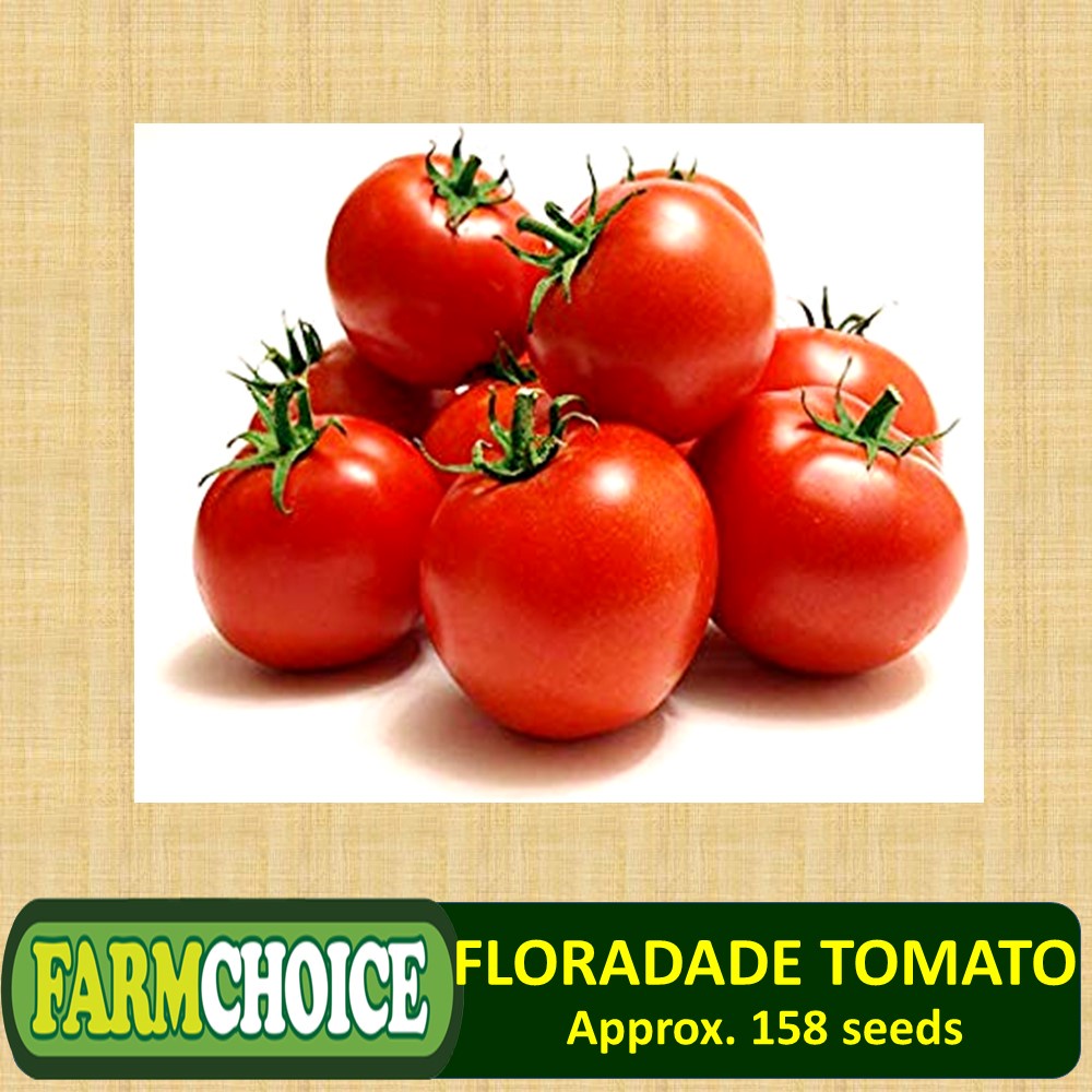 FLORADADE TOMATO - ( 158 seeds) | Shopee Philippines