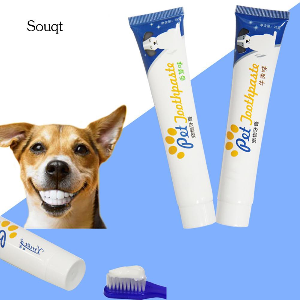 SQ_Edible Puppy Toothpaste Teeth Cleaning Oral Care | Shopee Philippines
