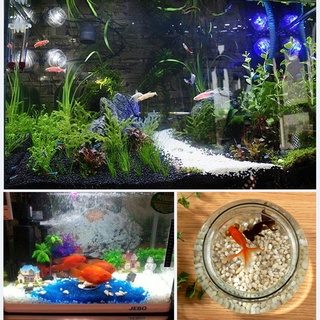 Colorful Rocks Selected White Pebbles Stones Natural stone Aquarium ...