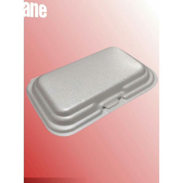 Disposable Styro Spaghetti Box 50 pcs, 100 pcs | Shopee Philippines