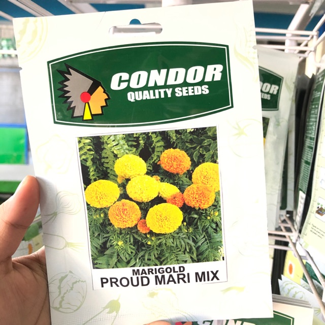 MARIGOLD SEEDS PROUD MARI MIX | Shopee Philippines