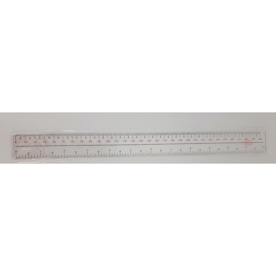Ruler Plastic (12inches) | Shopee Philippines