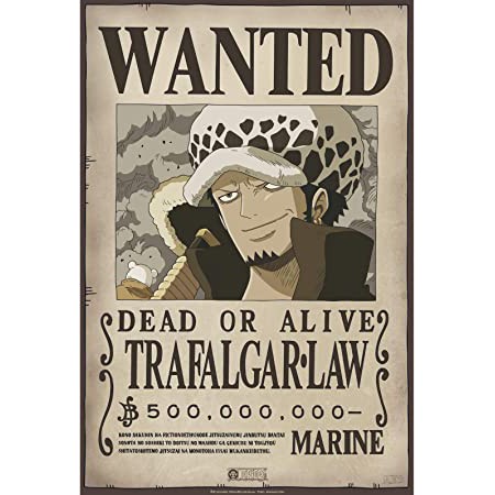 One Piece Wanted Poster with Borderless Frame (Law) | Shopee Philippines