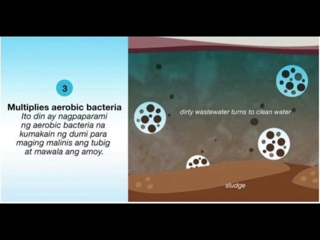 Vigormin Home, Online Shop | Shopee Philippines