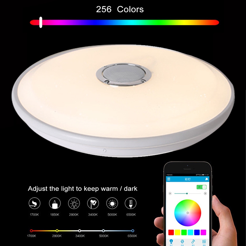 Bb Bluetooth Ceiling Light And Speaker | Shelly Lighting