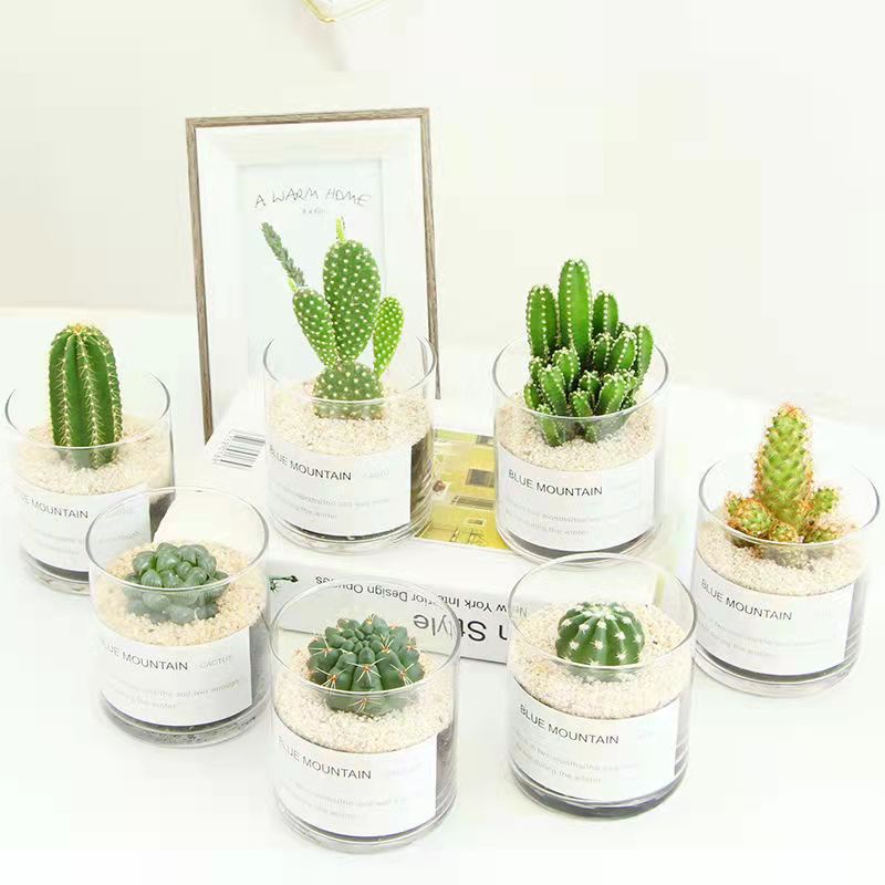 Cactus Succulent with pot Artificial Mini Fake Plant Flowers Garden ...