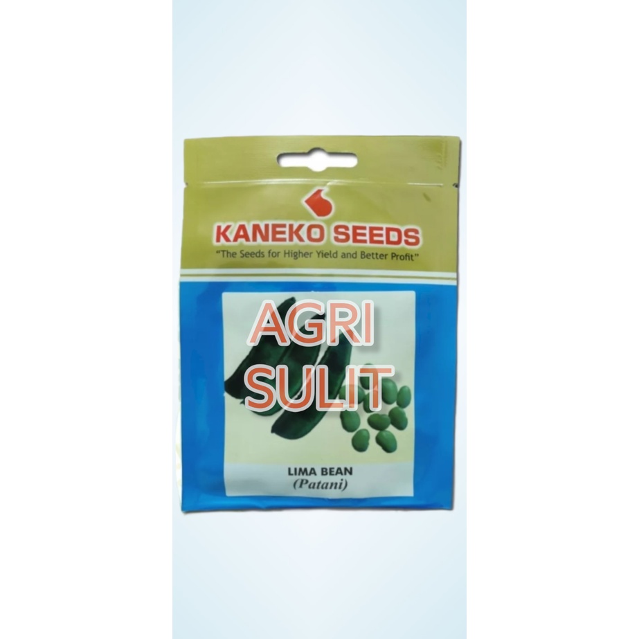 PATANI SEEDS (32 SEEDS) LIMA BEANS BY KANEKO SEEDS | Shopee Philippines
