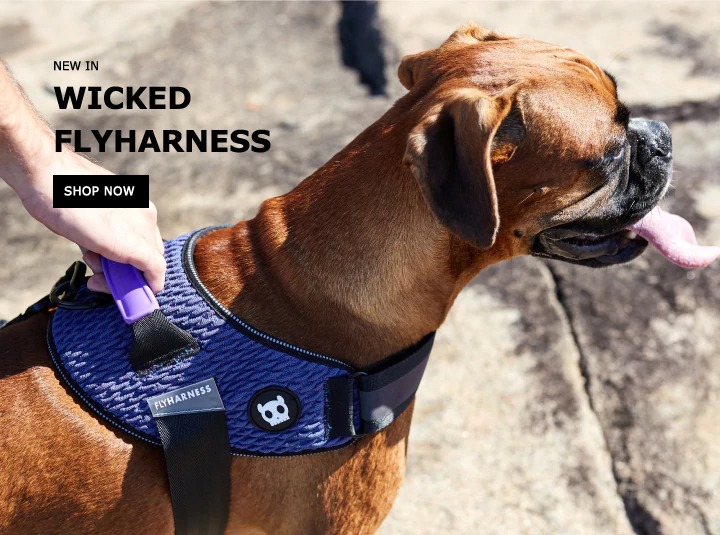 Zee.Dog, Online Shop | Shopee Philippines