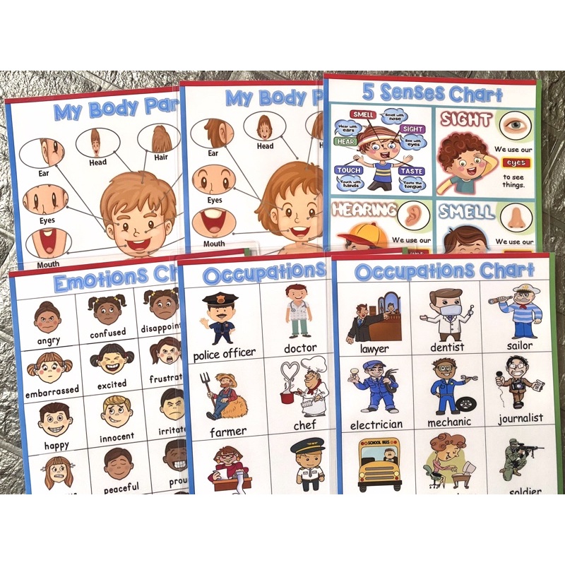 BODY PARTS, EMOTIONS, SENSES, OCCUPATIONS CHART-Laminated | Shopee ... BODY PARTS, EMOTIONS, SENSES, OCCUPATIONS CHART-Laminated | Shopee ...