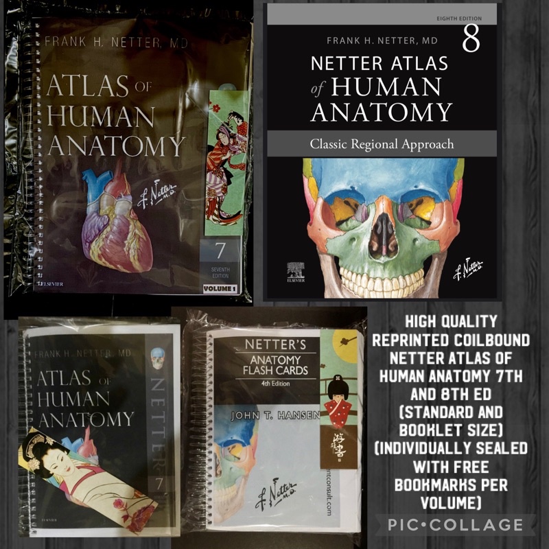 SALE Netter’s Atlas of Human Anatomy Flashcards Coloring Book Latest ...