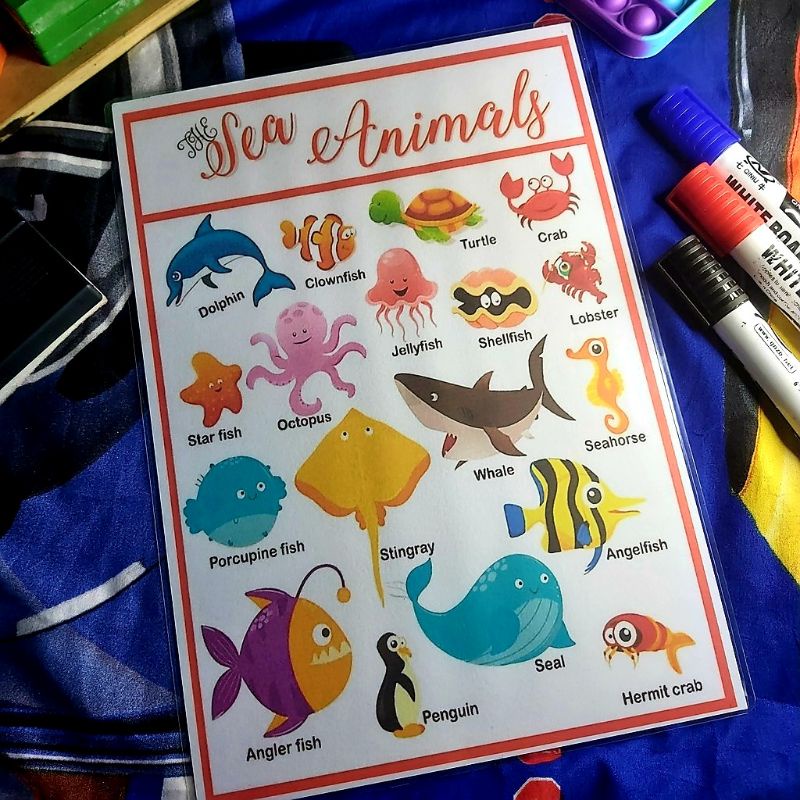 A4 SEA ANIMALS Laminated Educational Wall Chart for kids | Shopee ...