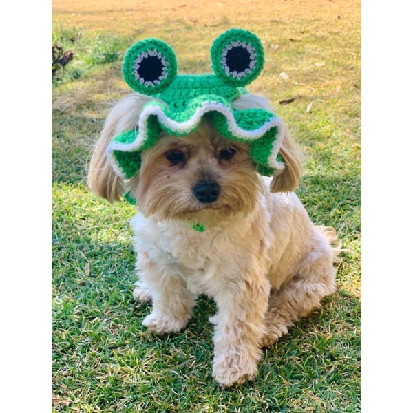 Crochet Hat for Cats and Dogs (Small) | Shopee Philippines