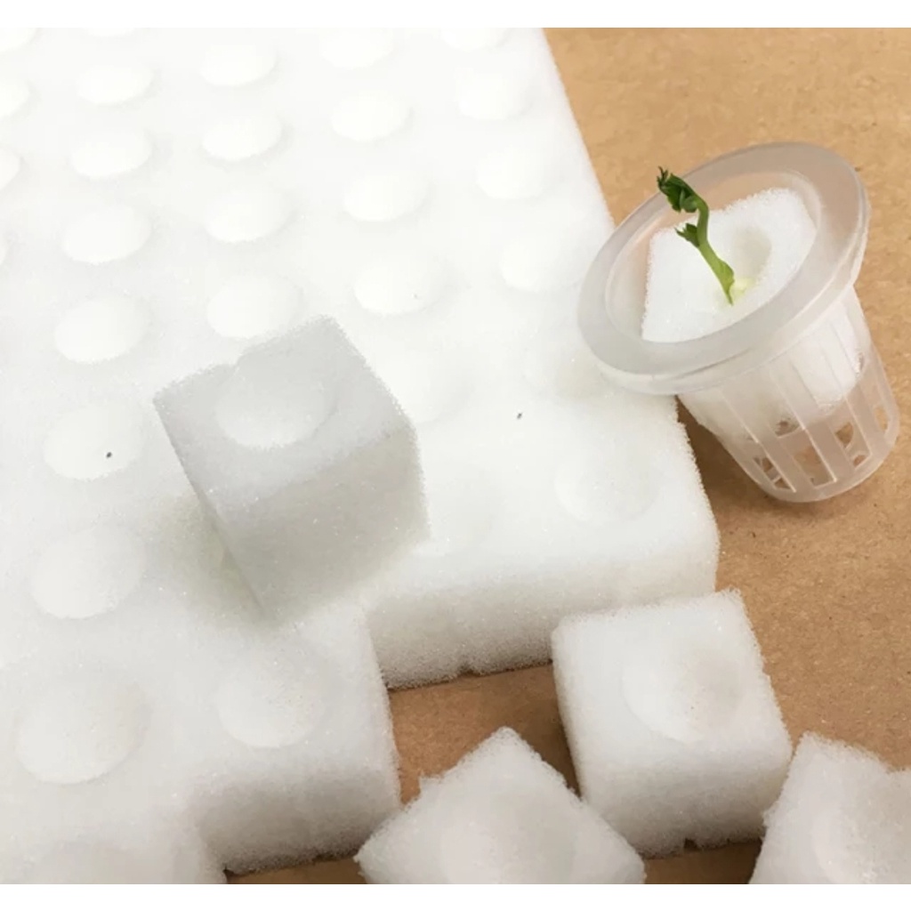 Horticultural Foam/Hydroponic Seed Growing Media 100 cubes | Shopee ...