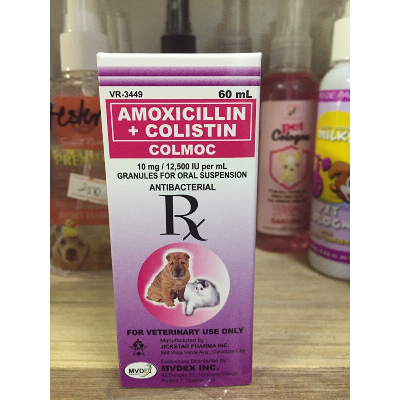 Colmoc Amoxicillin AntiBacterial for Pets 60ml | Shopee Philippines