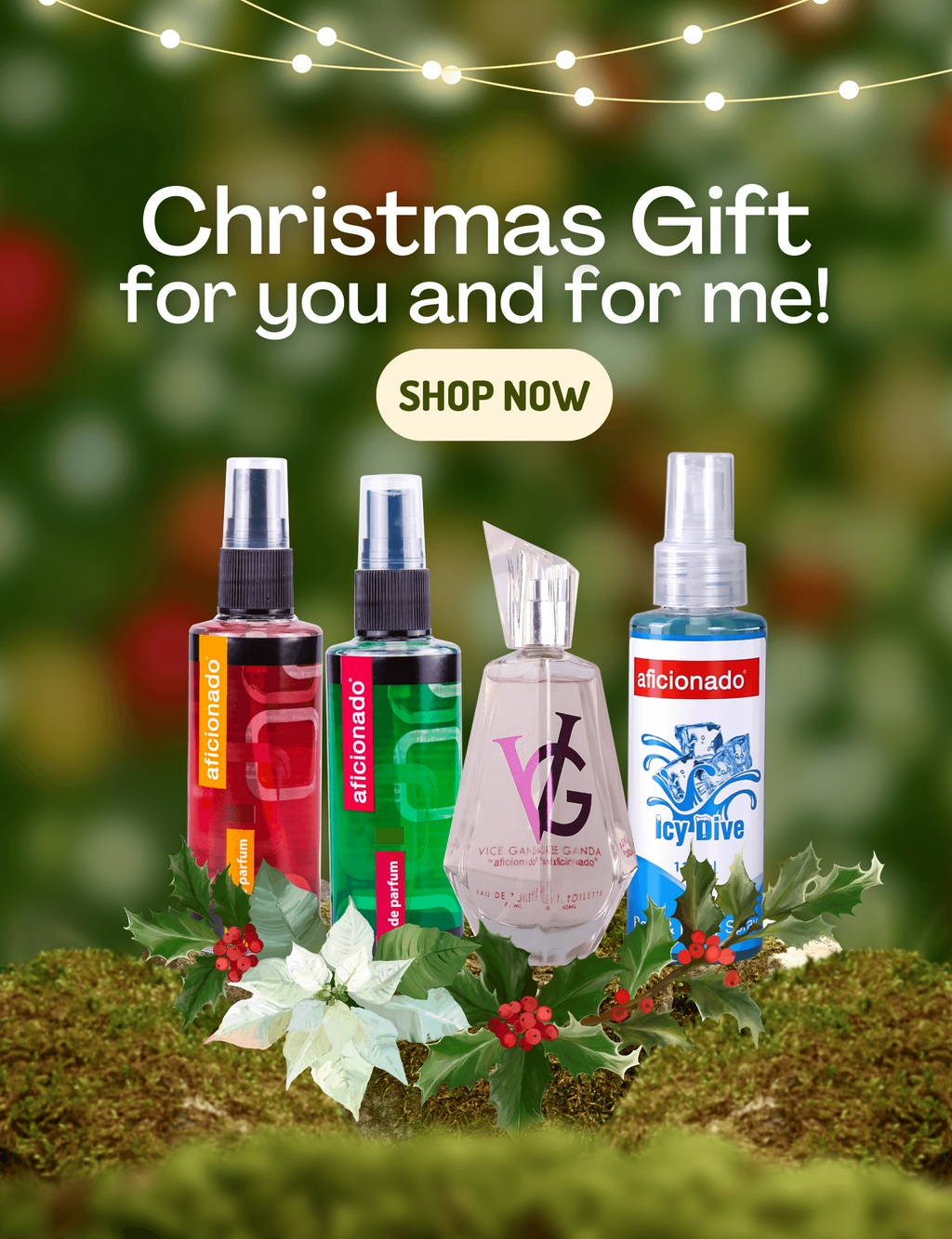 Aficionado Official Store