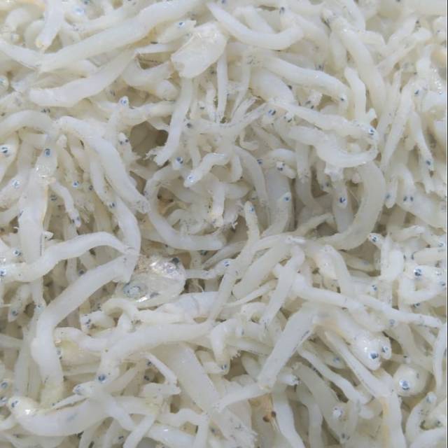 1000gram Material Fish | Shopee Philippines