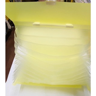 plastic expandable envelope with divider sold per piece (Random Color ...