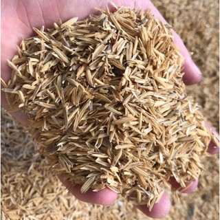 IPA ng palay Rice Hull 1 Sack (14liter) | Shopee Philippines