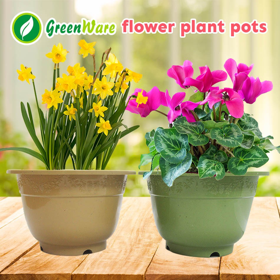Greenware Plant Flower Pot 7x5 inches Paso | Shopee Philippines