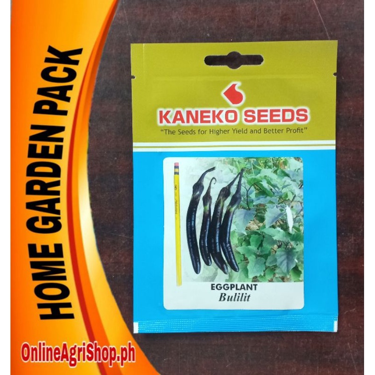 BULILIT EGGPLANT SEEDS SMALL EGGPLANT FRUITS (KANEKO SEEDS) | Shopee ...