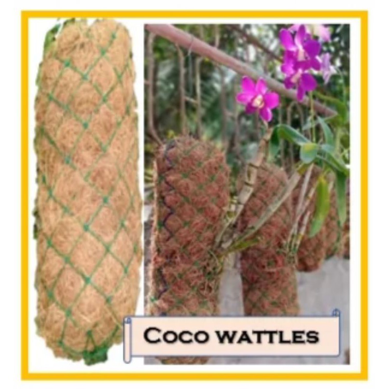 20 cm Coco Wattles for Orchids | Shopee Philippines