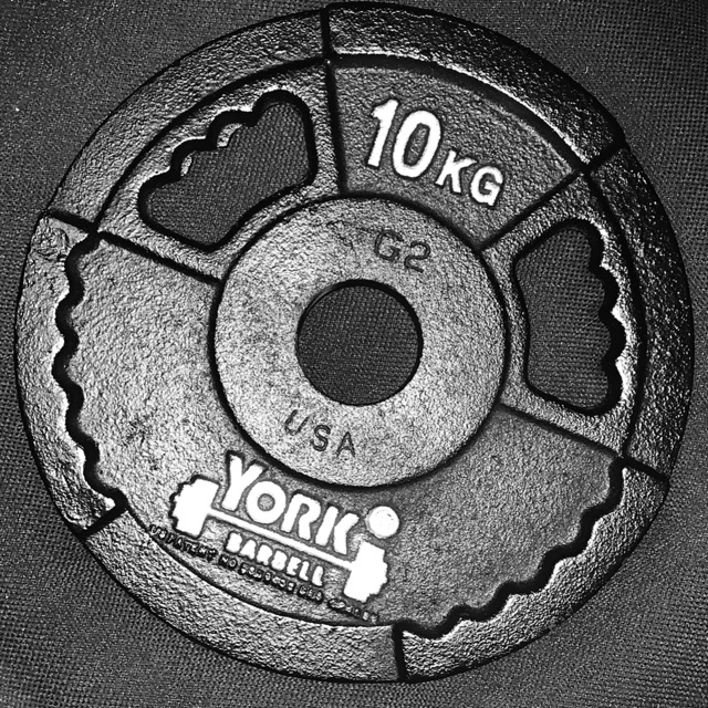 10 kilos kg olympic barbell dumbbell plate york metal weight | Shopee ...