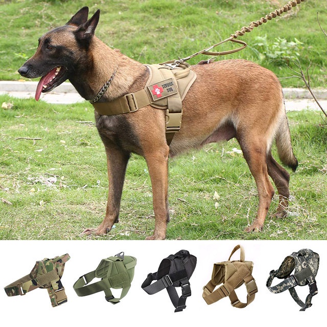 Pet training dog vest dog belt, chestband tactical dog set German ...