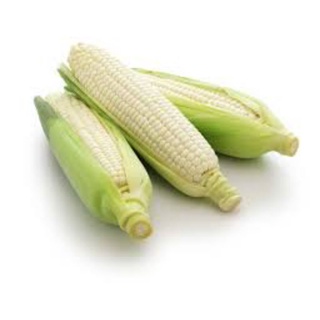 WHITE CORN SEEDS (Lagkitan) -15pcs | Shopee Philippines