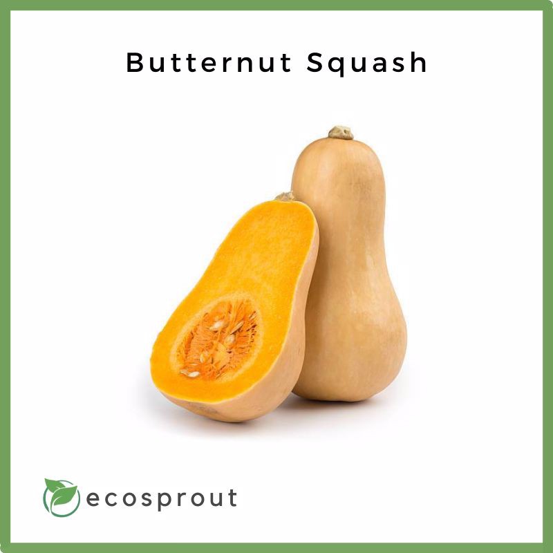 Fresh Butternut Squash | Piece | Fresh Vegetables | Fresh Fruits ...