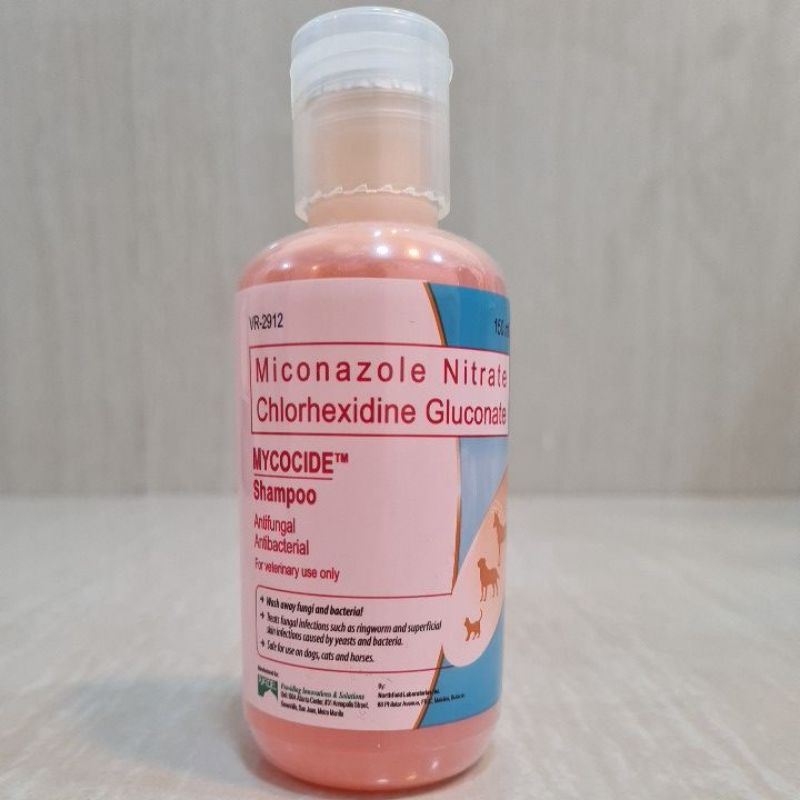 Mycocide Shampoo Antifungal/Antibacterial | Shopee Philippines