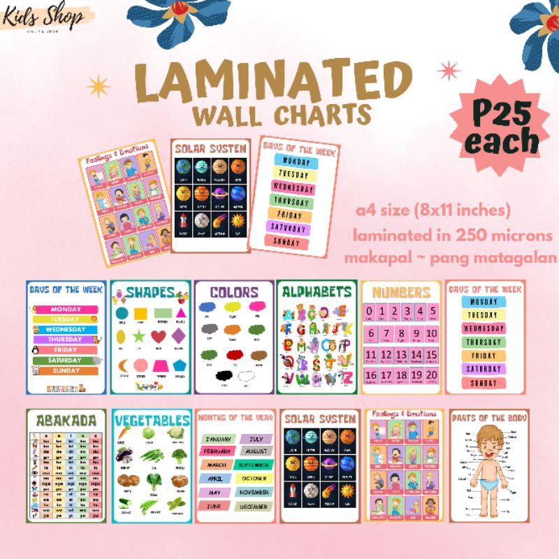 FULLY LAMINATED WALL CHARTS | Shopee Philippines