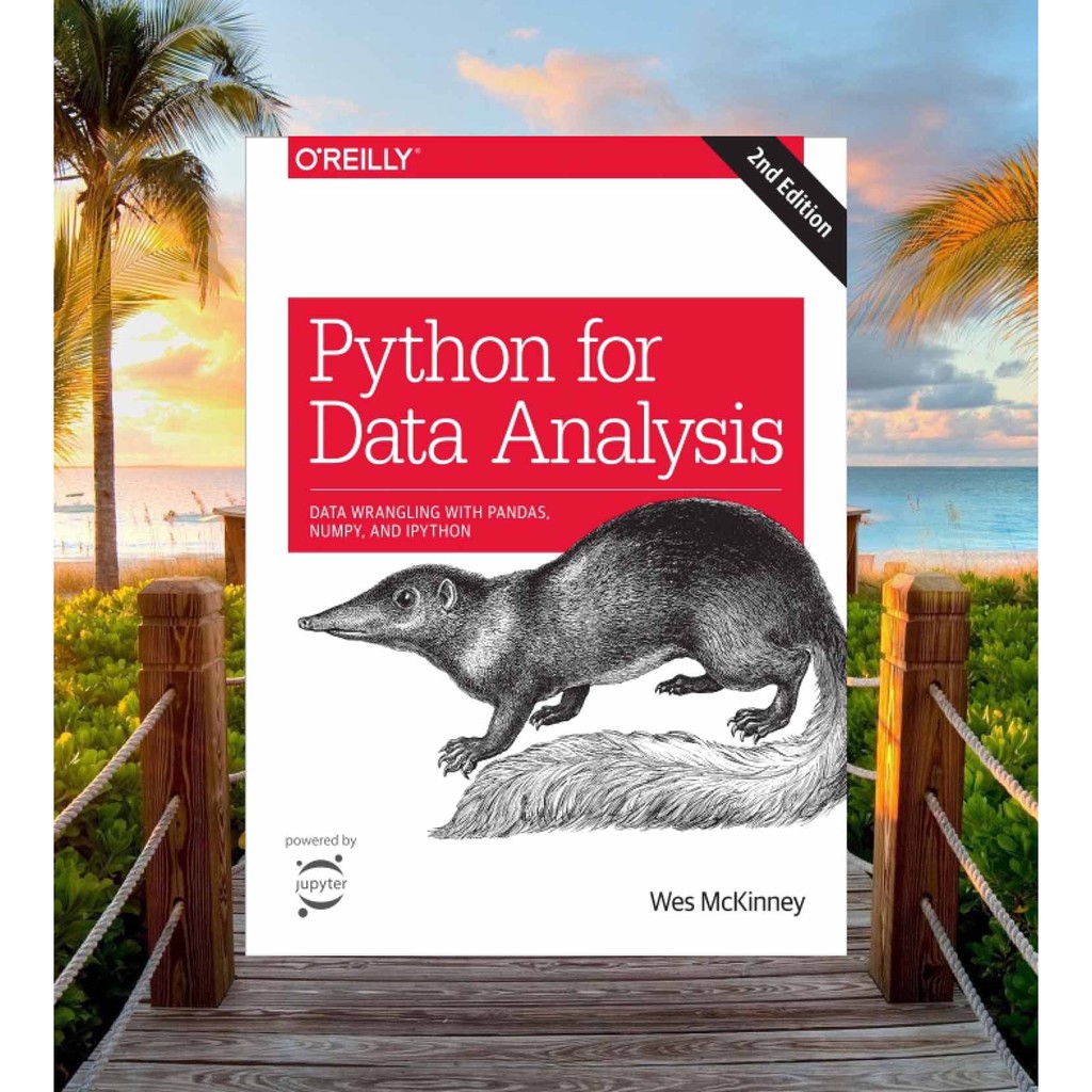 Python For Data Analysis Data Wrangling With Pandas Numpy And Ipython Shopee Philippines