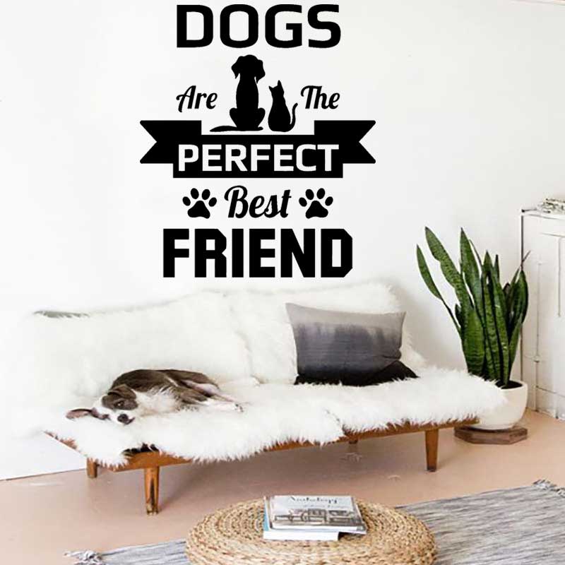 Friendship Pet Animals Cats Dogs Wall Stickers Pet Shop Window Auto ...