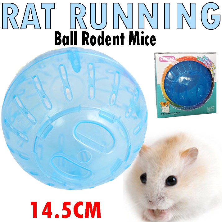 14.5cm white rat Running Ball Rodent Mice Jogging Hamster Gerbil Rat ...