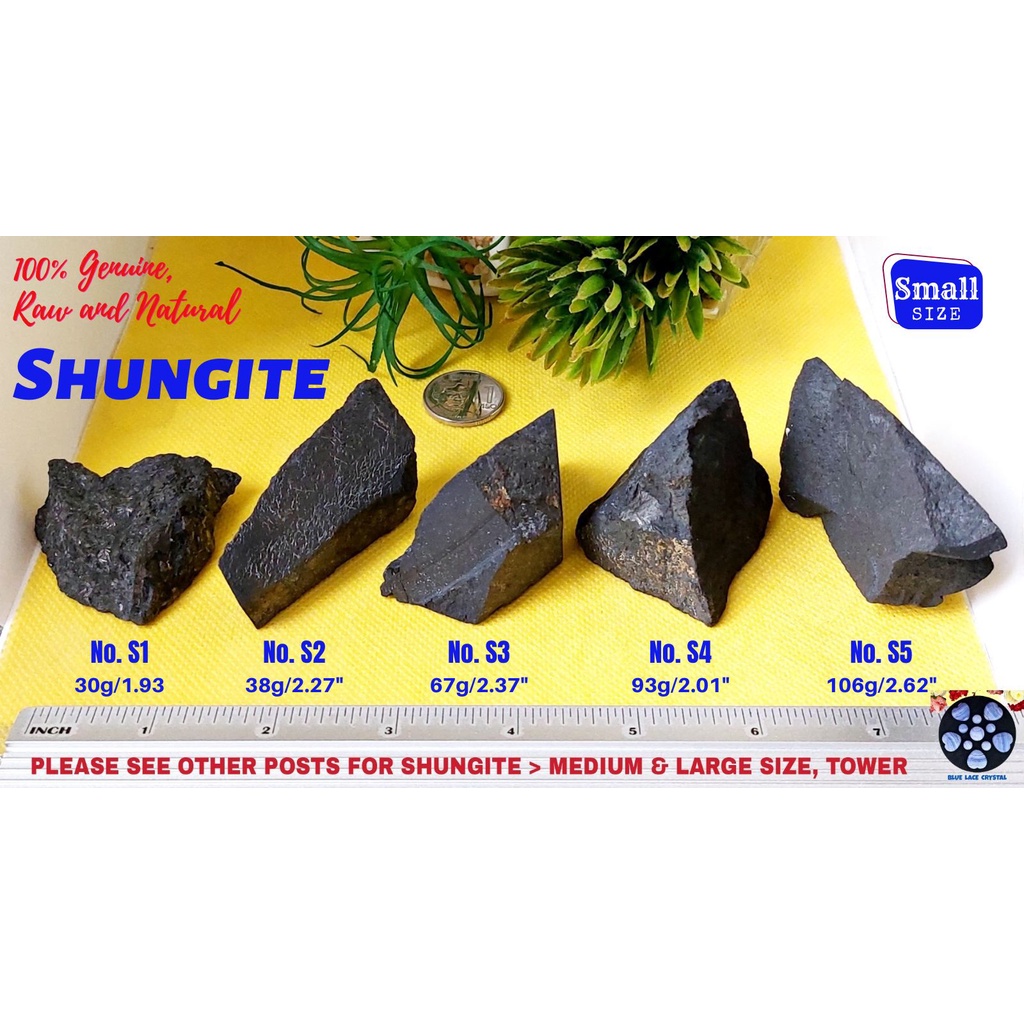 Shungite Raw/Rough (Small) | 100% Natural | EMF Protection | Shopee ...