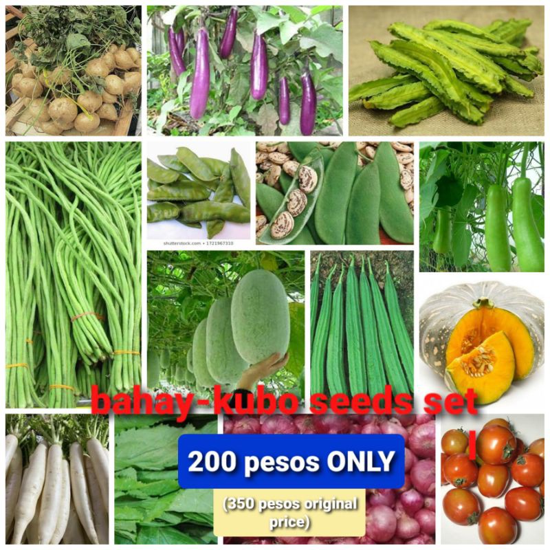 bahay-kubo seeds set (14 varieties) | Shopee Philippines