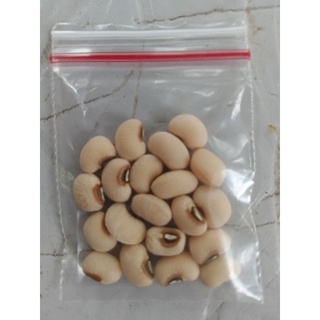 Native Sitaw Na turo Seed/ Ilocano for planting/ New harvest | Shopee ...