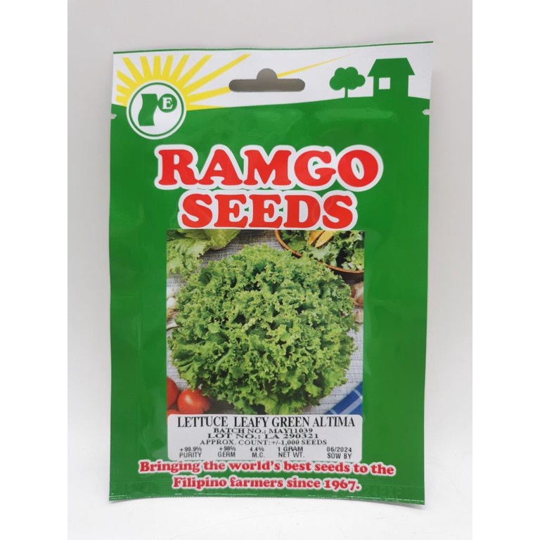 RAMGO LETTUCE LEAFY GREEN ALTIMA SEEDS ( ORIGINAL GARDEN PACK ...