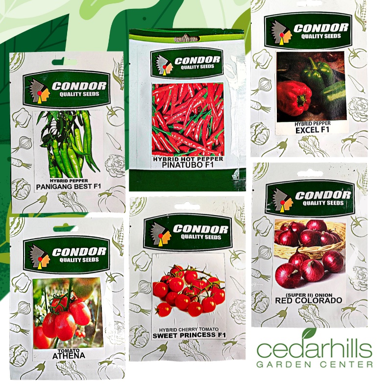 CONDOR SEEDS Hot Pepper / Tomato / Onion / Sili Panigang / Bell Pepper ...