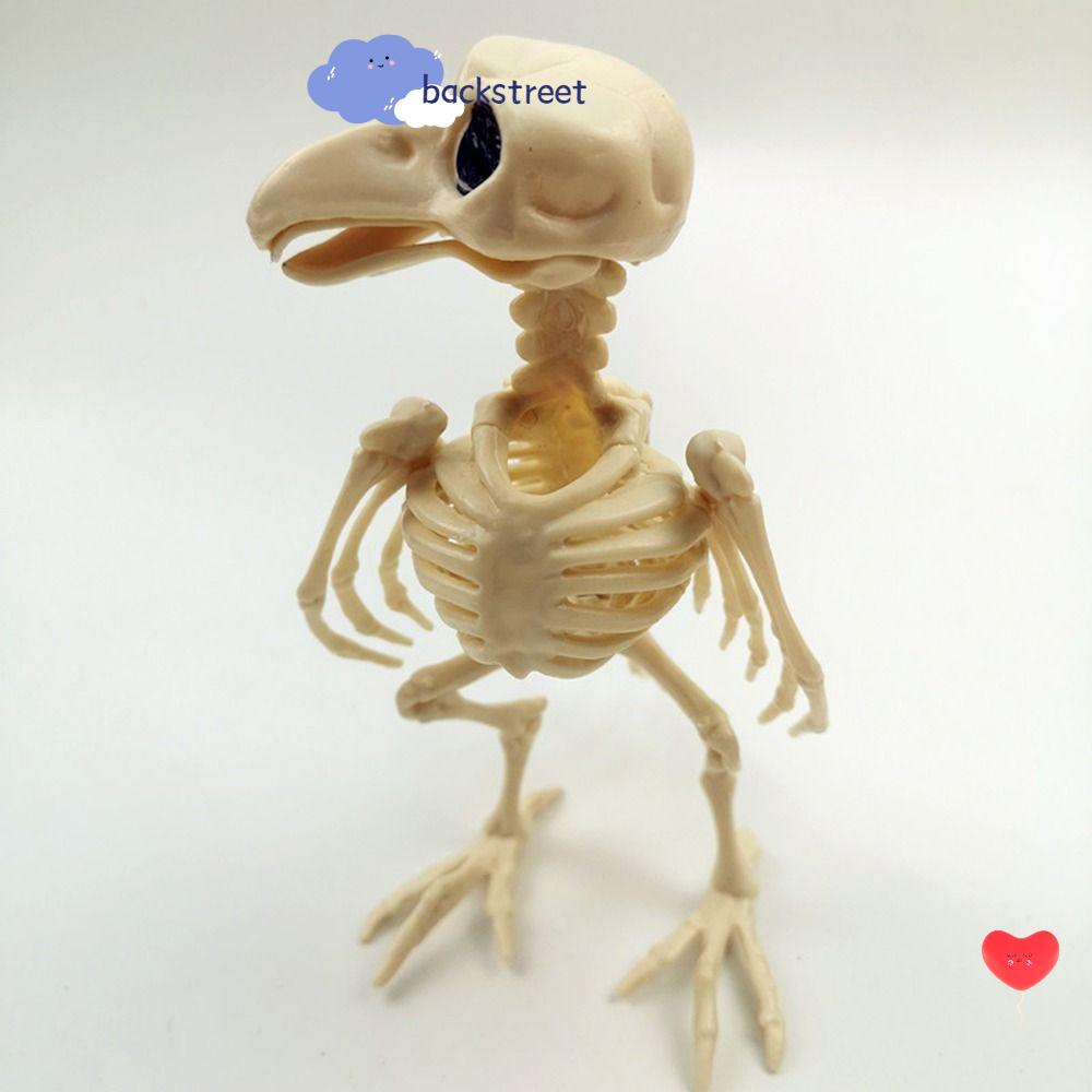 BACKSTREET Crow Skeleton Crazy Horror Plastic Animal Skeleton Bones ...