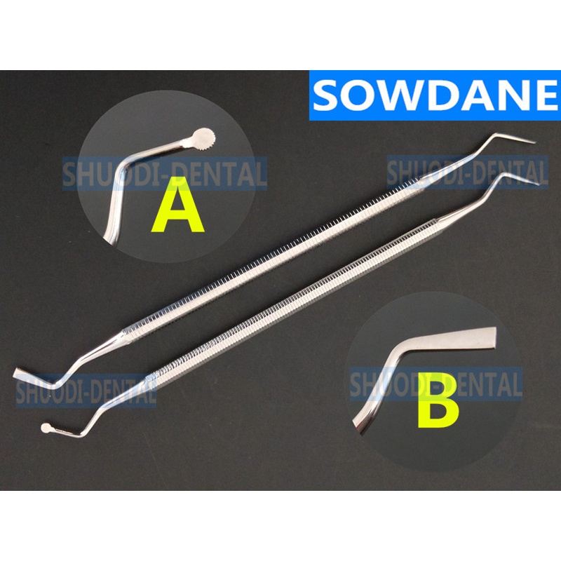 2 pcs Dental Gingival Retraction Cord Packer Tool Dental Scaler ...